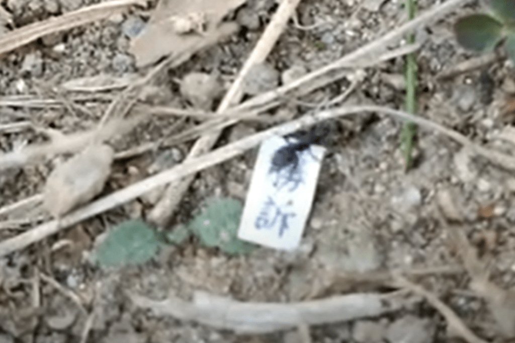 やった～！ついに勝訴宣言！（@aoiwa_88さんより提供） – ほ・とせなNEWS