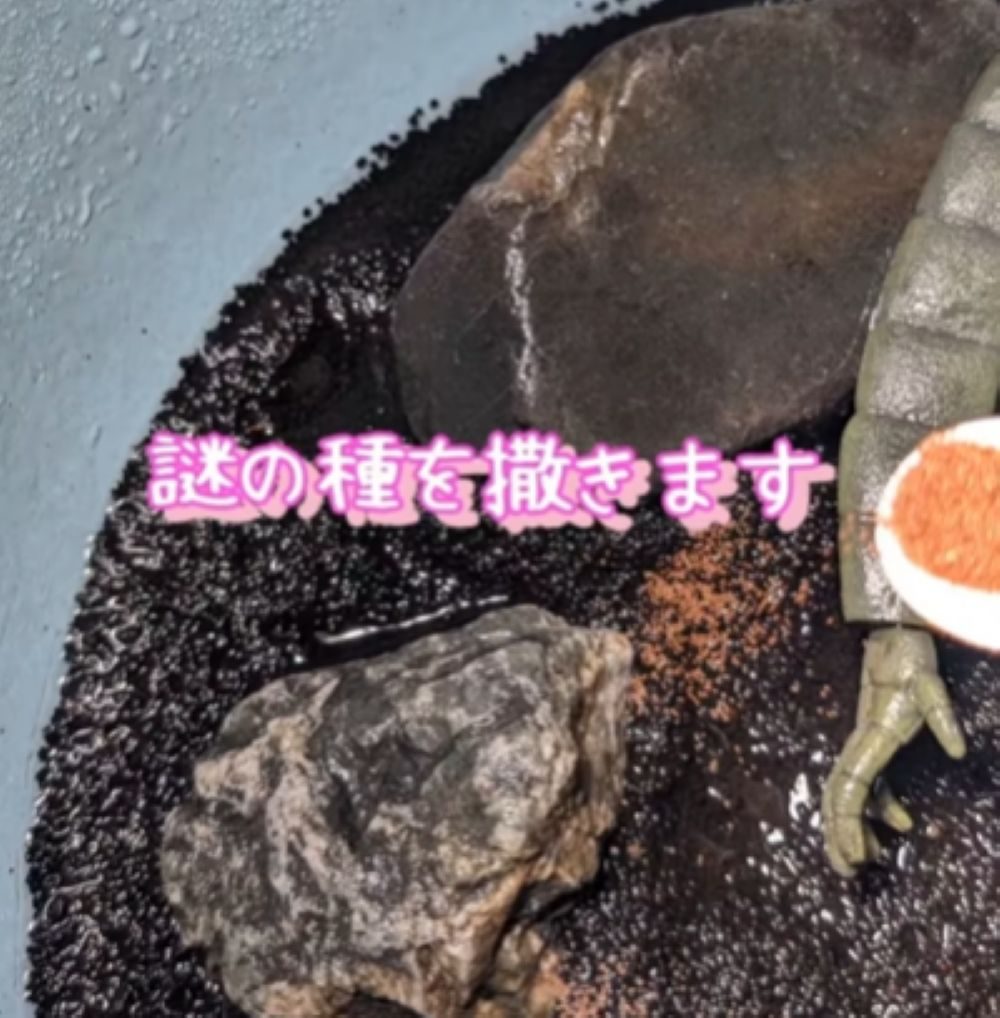 種をまきます（＠akr_6.9さんより提供） – ほ・とせなNEWS