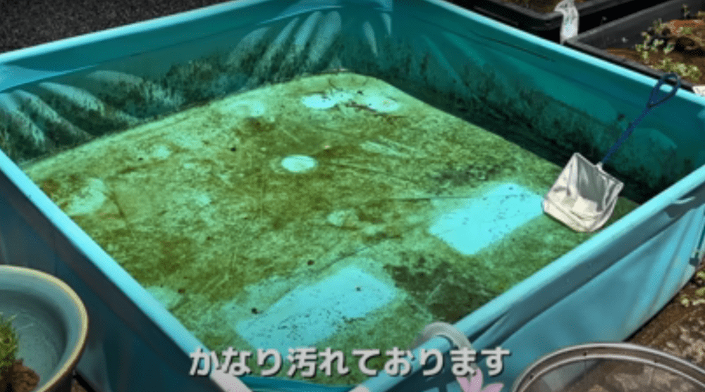 かなり汚れている（@minami_medakaさんより提供） – ほ・とせなNEWS