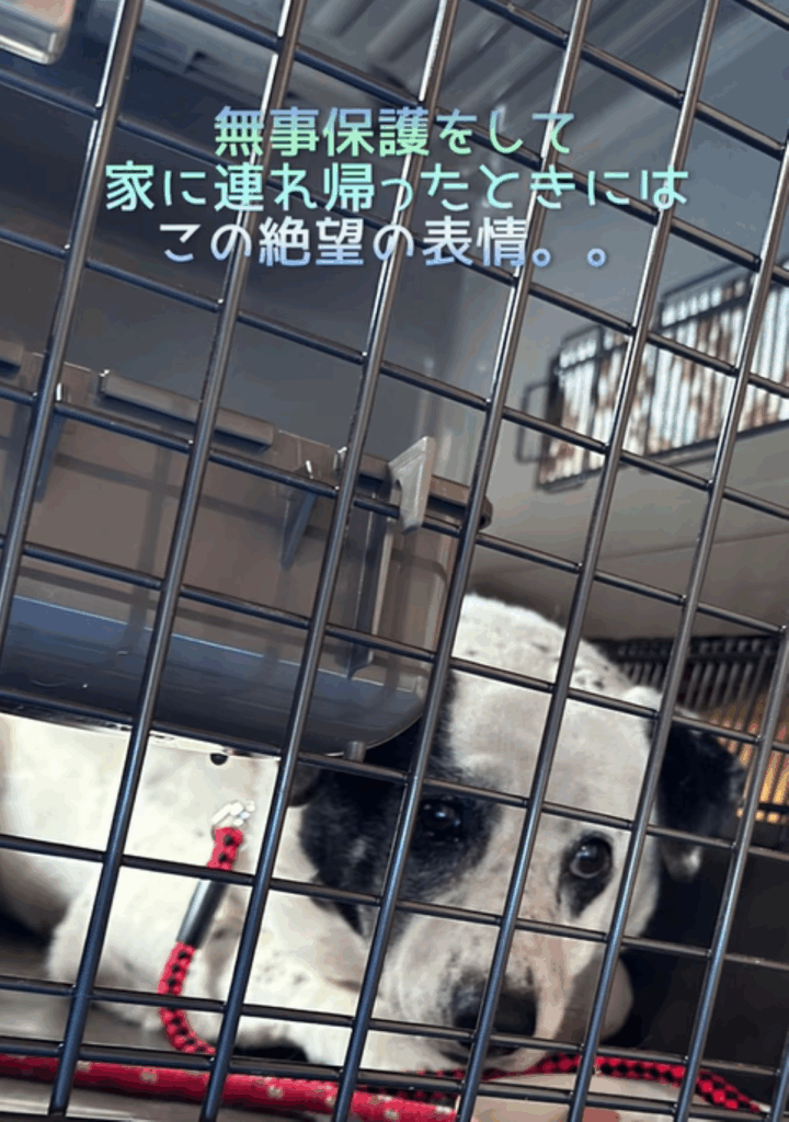 lamireアイキャッチ創作 (75) – ほ・とせなNEWS