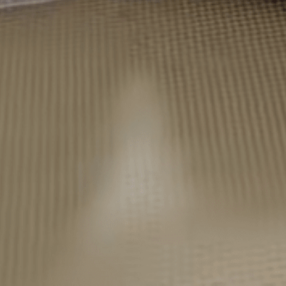 幼少期の姿②（＠lip_pi22さんより提供） – ほ・とせなNEWS